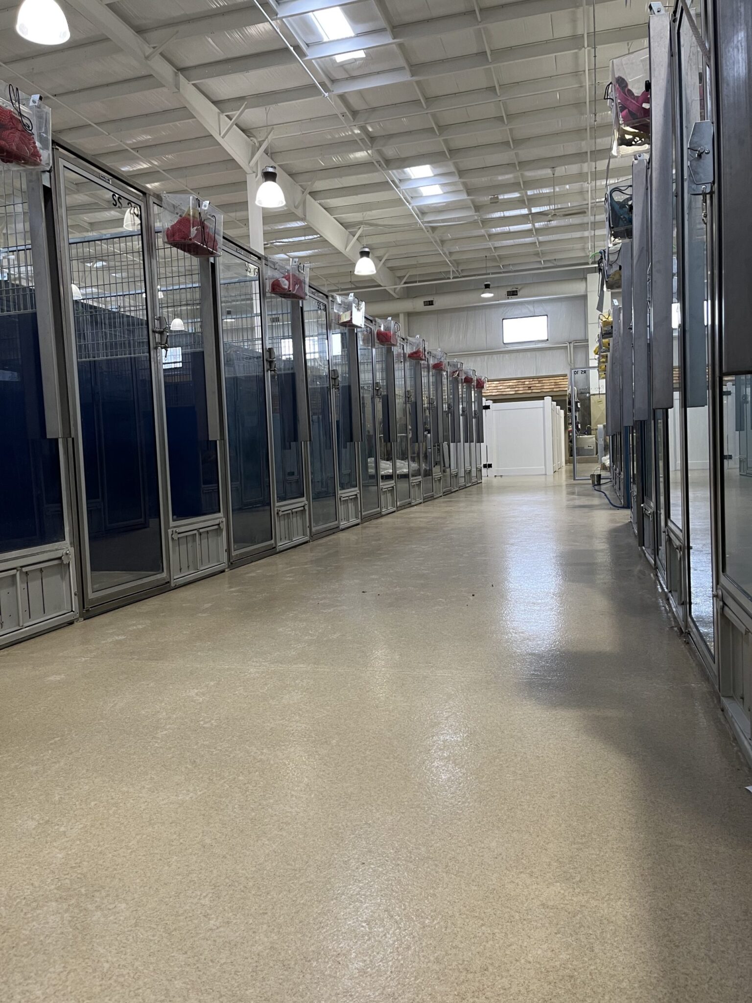 Luxury Dog Boarding | Barkefellers Westfield