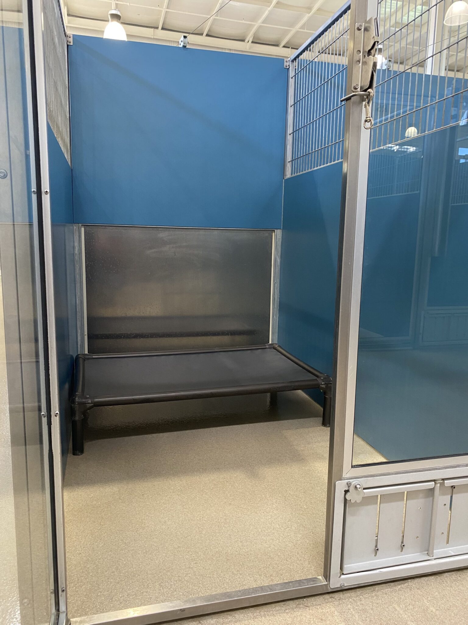 Luxury Dog Boarding | Barkefellers Westfield