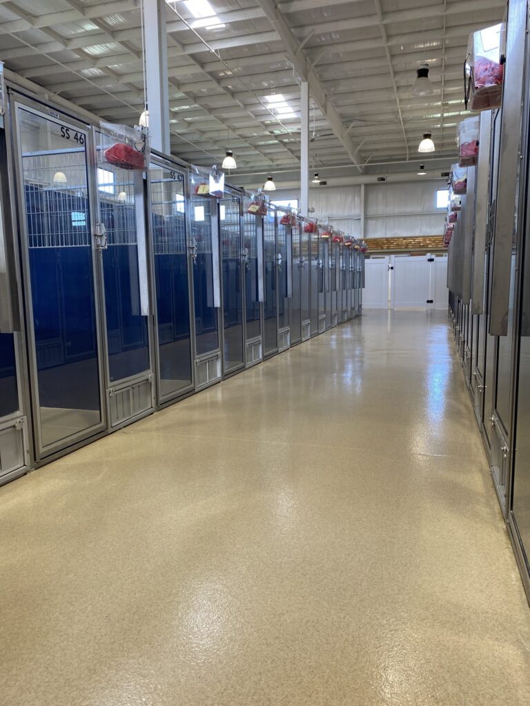 Luxury Dog Boarding | Barkefellers Westfield