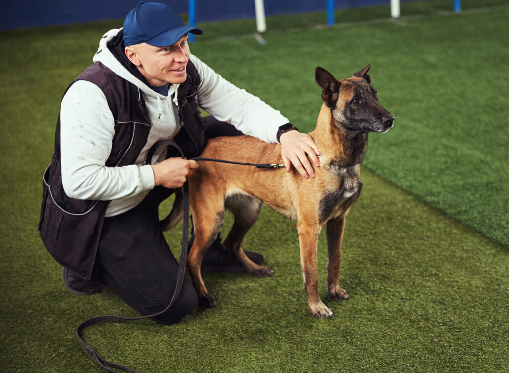Dog Training Programs | Barkefellers® Westfield