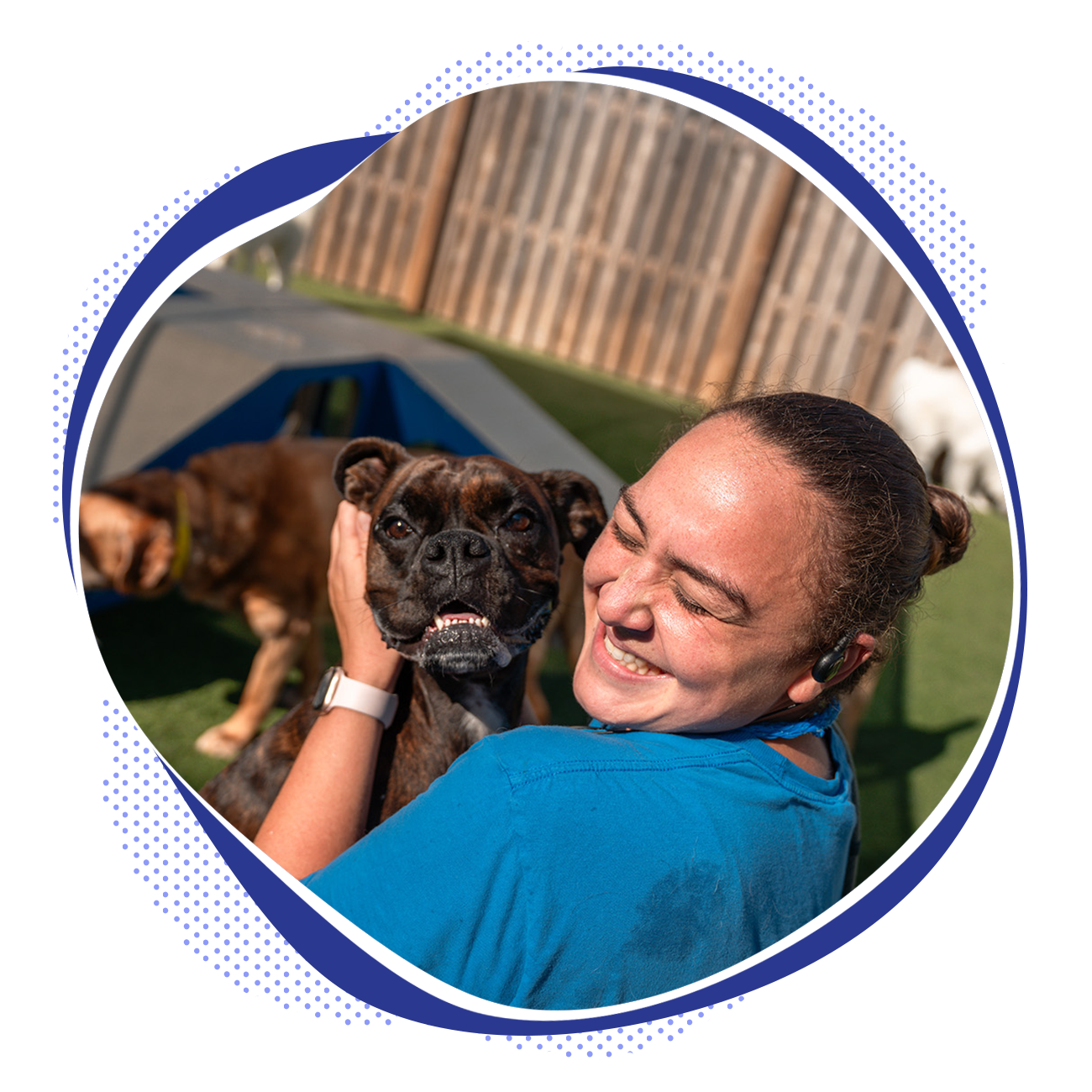 Luxury Pet Resort & Spa | Barkefellers® Westfield